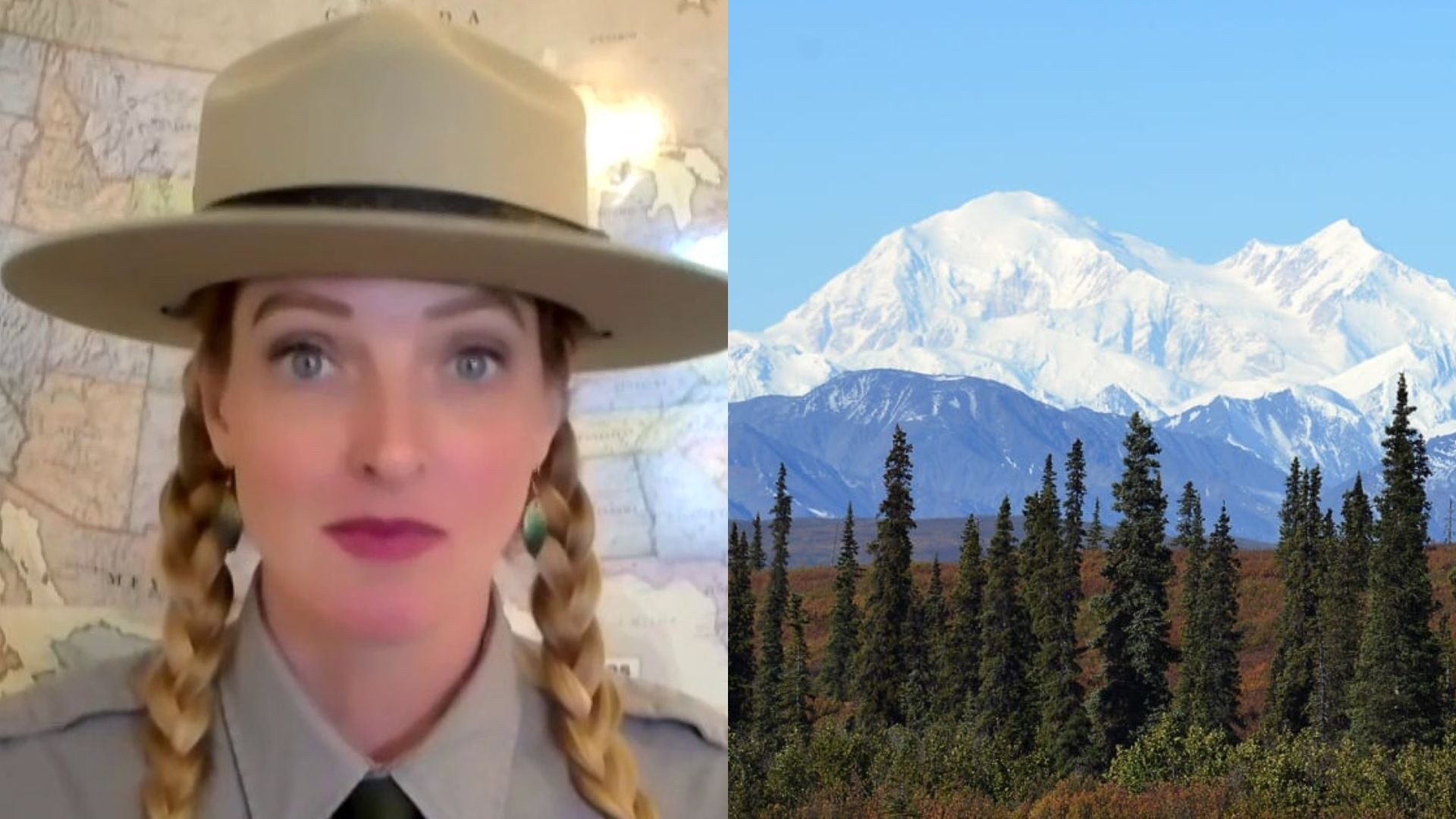 ‘Two weeks of glorious joy’ then ‘a kidney punch’: Fmr. Denali park ...