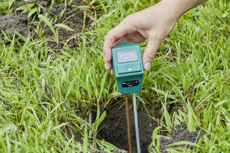 How to Lower pH in Soil