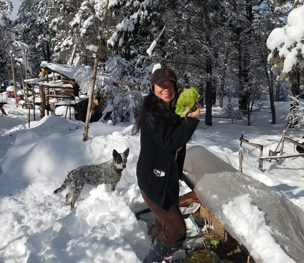 This off-grid homeowner revealed what it's really like to survive a ...