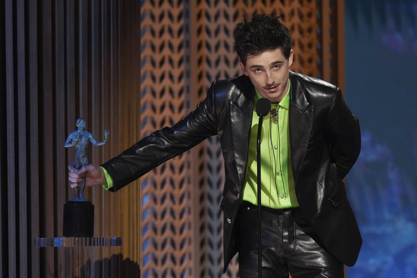 PHOTO COLLECTION: 31st Annual SAG Awards - Show