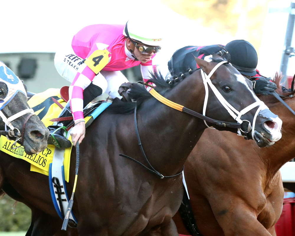 'Hard-Trying Horse': Alexander Helios Wins Razorback Thriller In Stakes Bow