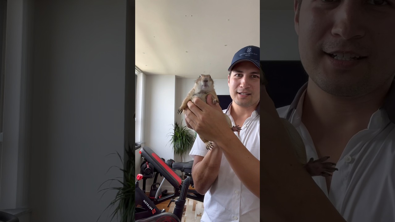 Delayed Prairie Dog Wahoo Moment