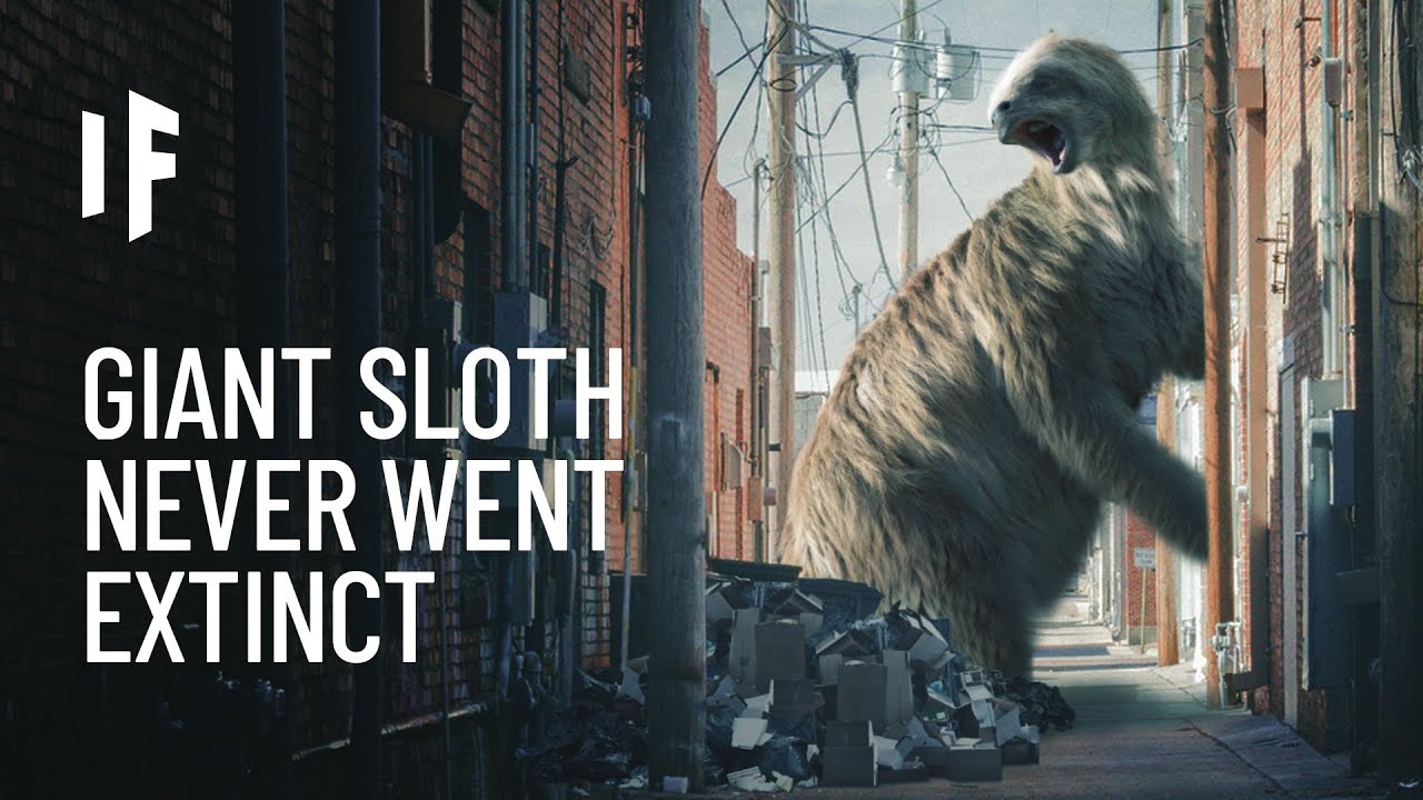 Imagine giant sloths surviving to the present day