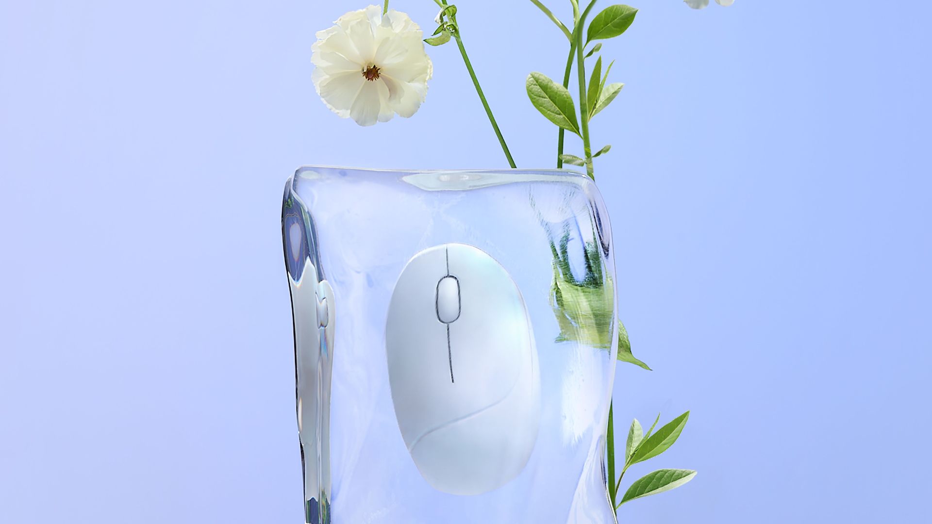 Asus' new 'Fragrance Mouse' can be filled with oil to make your desk ...