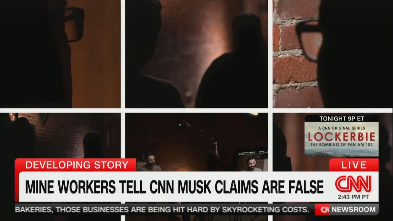Federal Workers in Limestone Mine Bash Elon Musk’s Claims About How ...