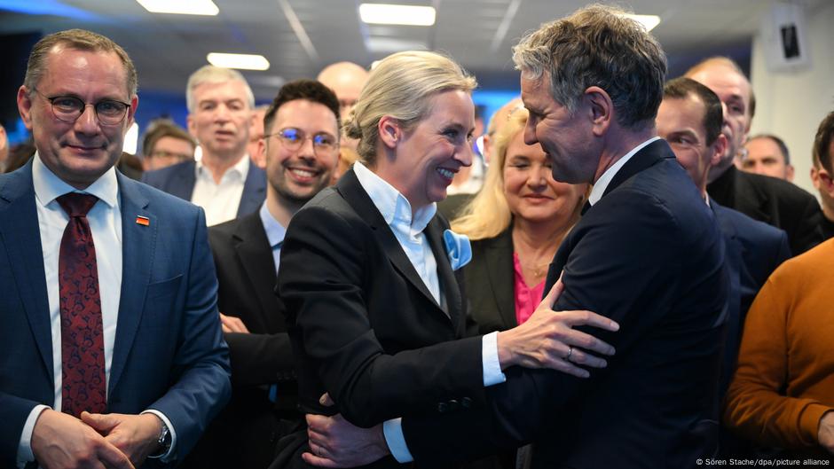 Germany's AfD: Election success amounts to nothing