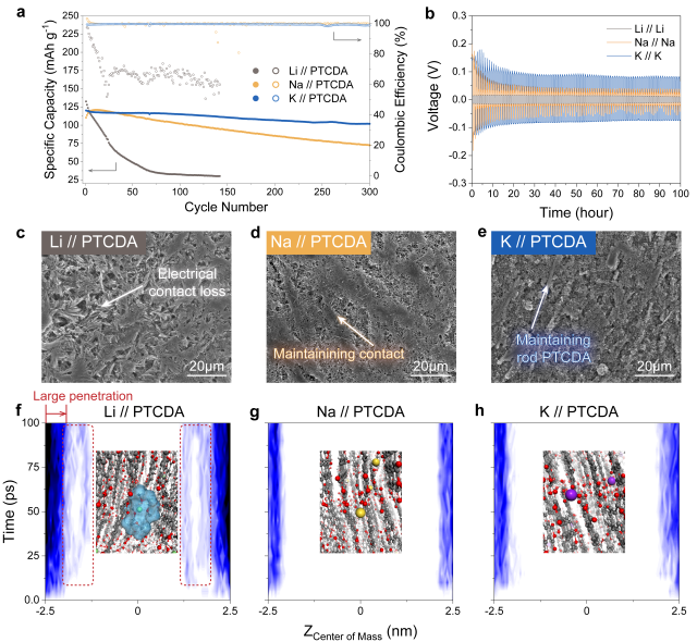 차세대 유기배터리 수명 갉아 먹는 용출…전해질서 원인 찾았다