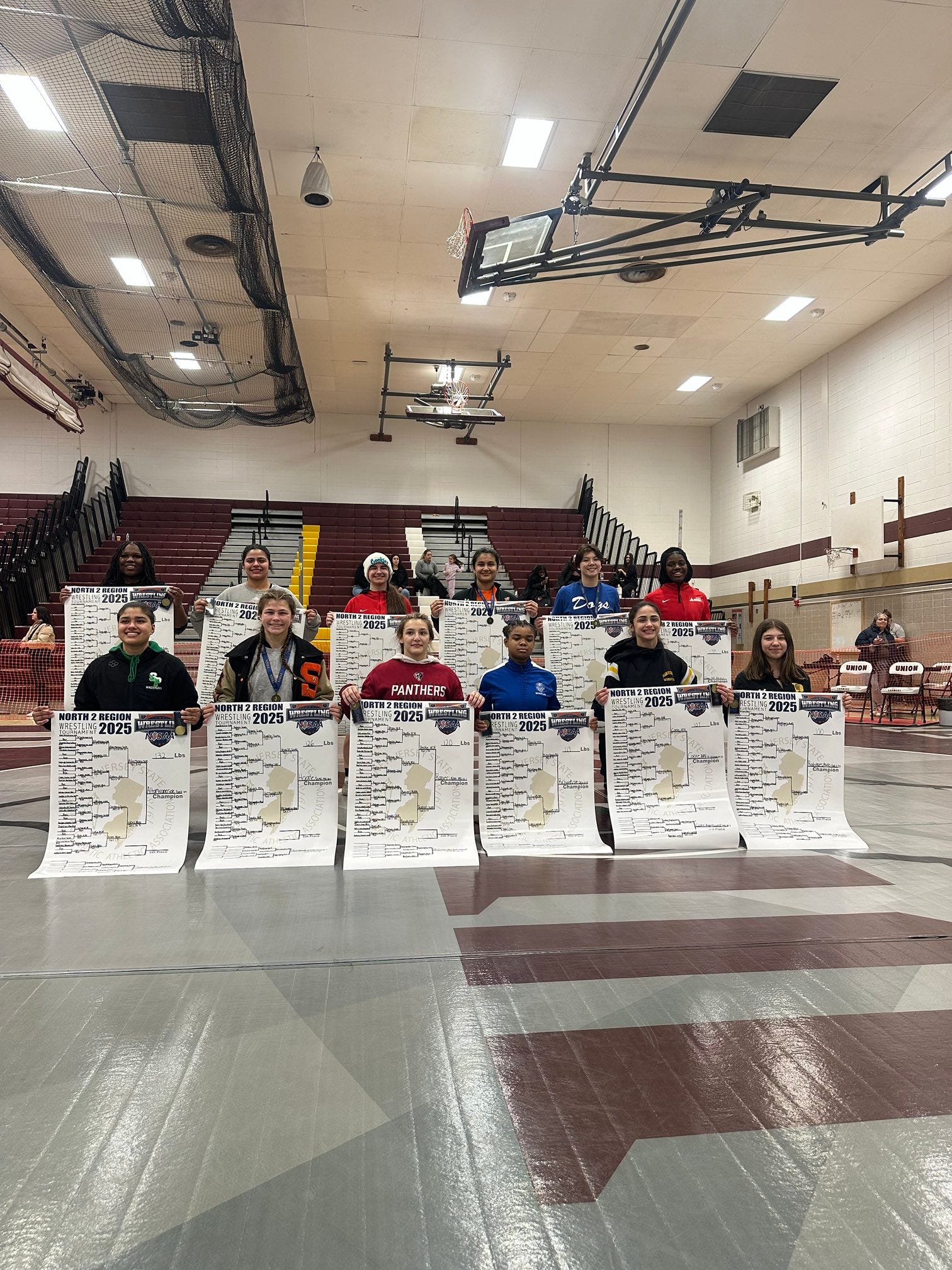 Girls Wrestling: State qualifiers from the North 2 Region