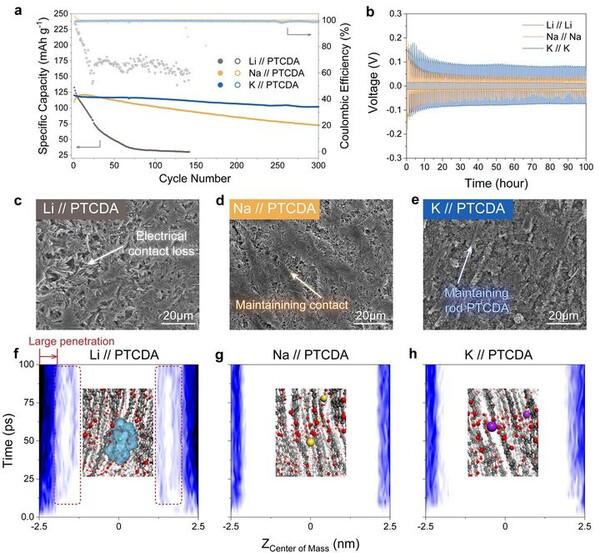 UNIST·한양대, 차세대 유기배터리 수명 단축 원인 찾았다
