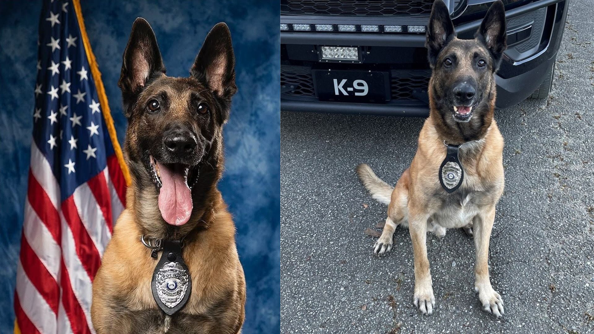 ‘Fine police officer’, ‘good boy:’ Marietta Police announce the passing ...