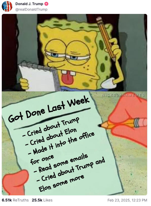 Trump posts SpongeBob meme to poke fun at outrage over Elon Musk’s ...