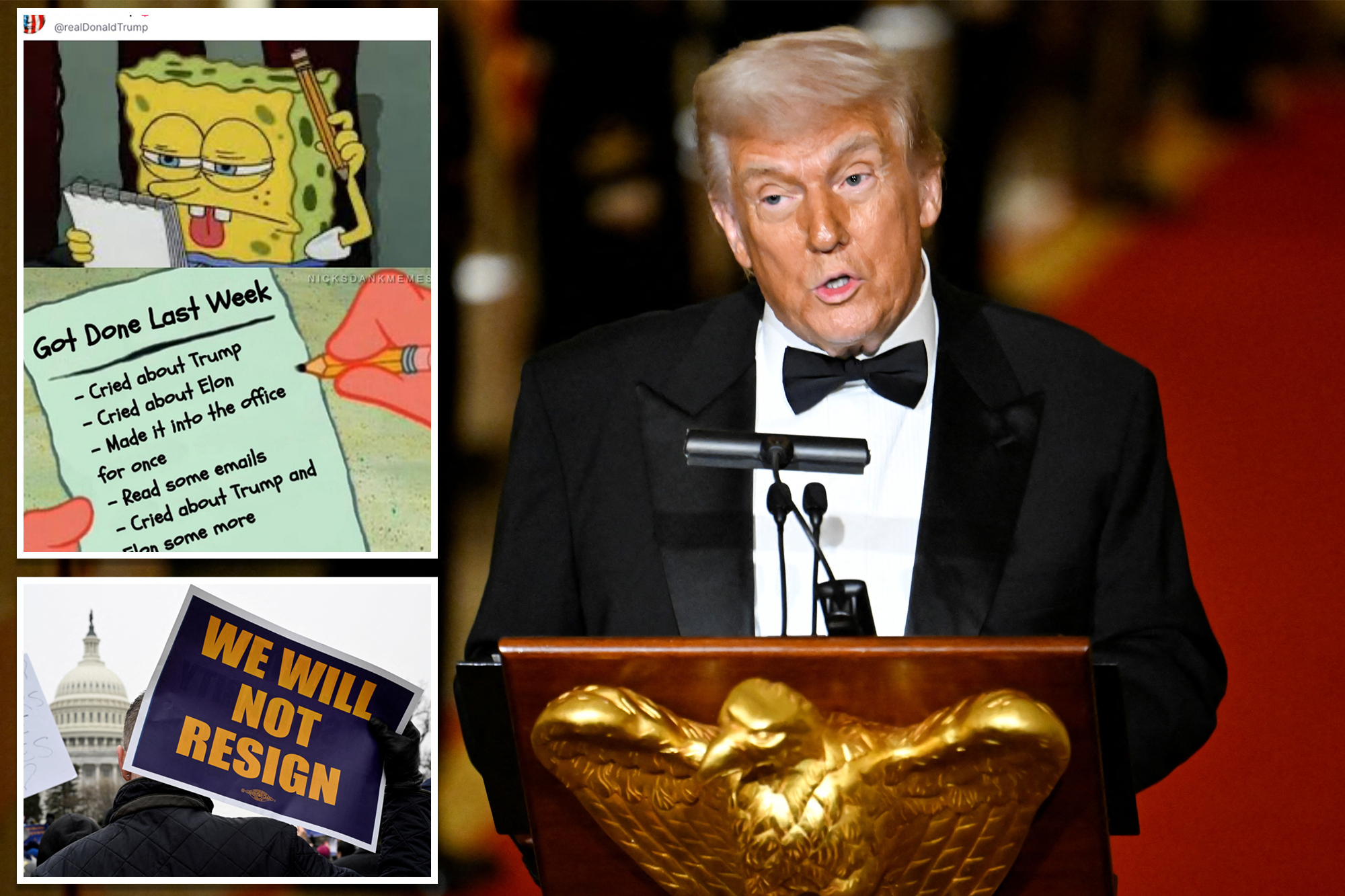 Trump posts SpongeBob meme to poke fun at outrage over Elon Musk’s ...