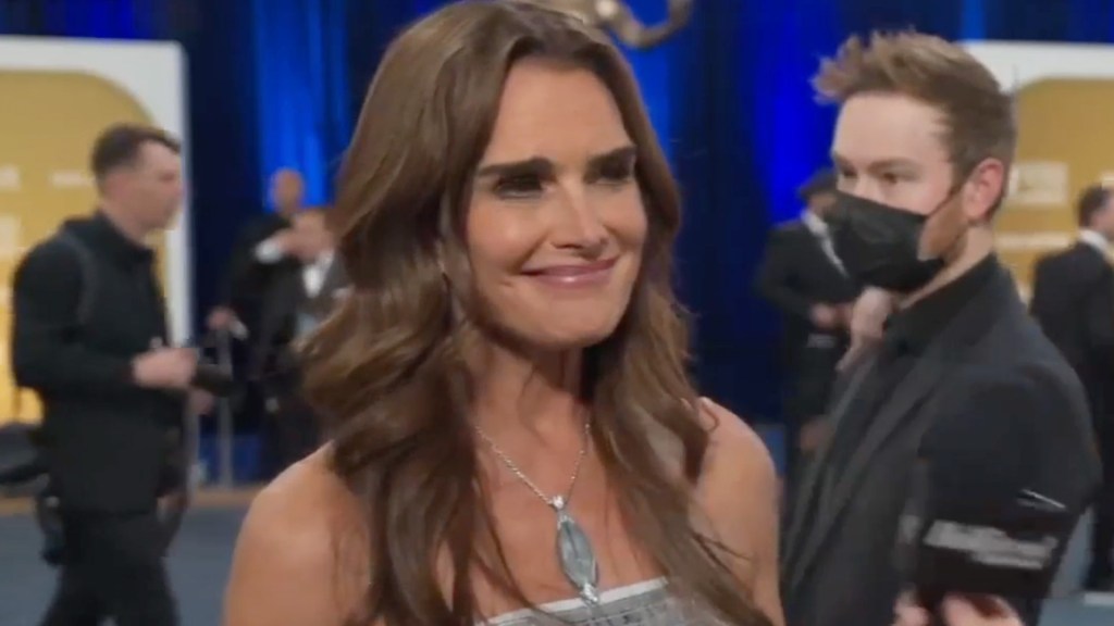 Brooke Shields on Her Role as the President of Actors Equity ...