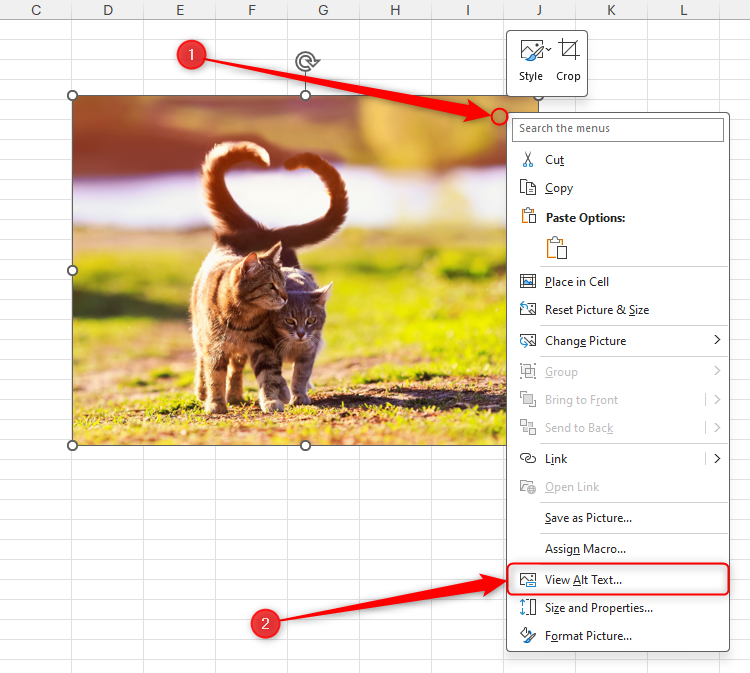 Why I Always Add Alt Text in Microsoft 365 Apps (And How You Can Too)