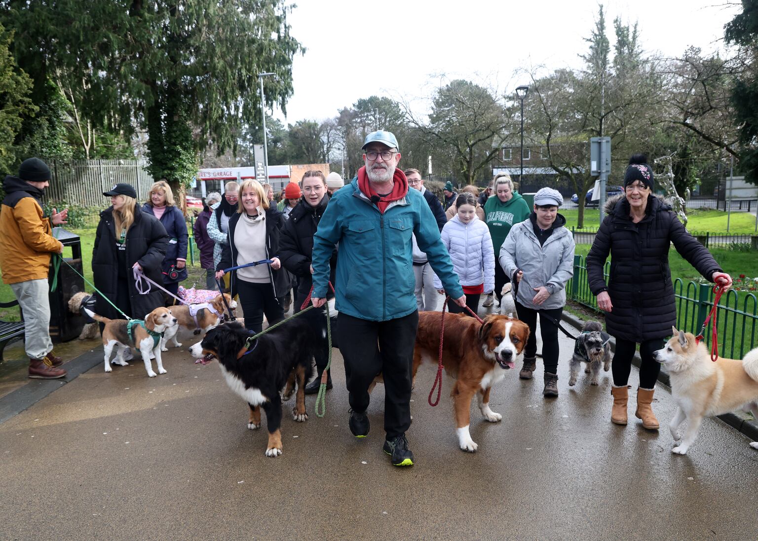Bark Run: Dog walking club ‘Doggy Danders’ bringing people together in ...
