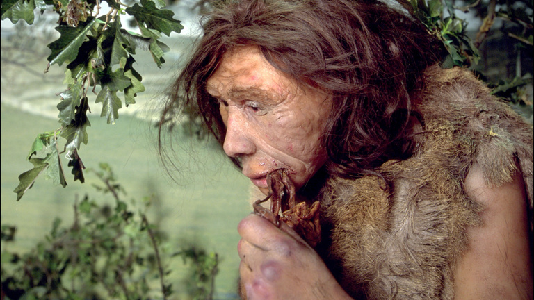 110 ezer éves rejtélyre derülhetett fény, emiatt halhattak ki a Neander-völgyiek