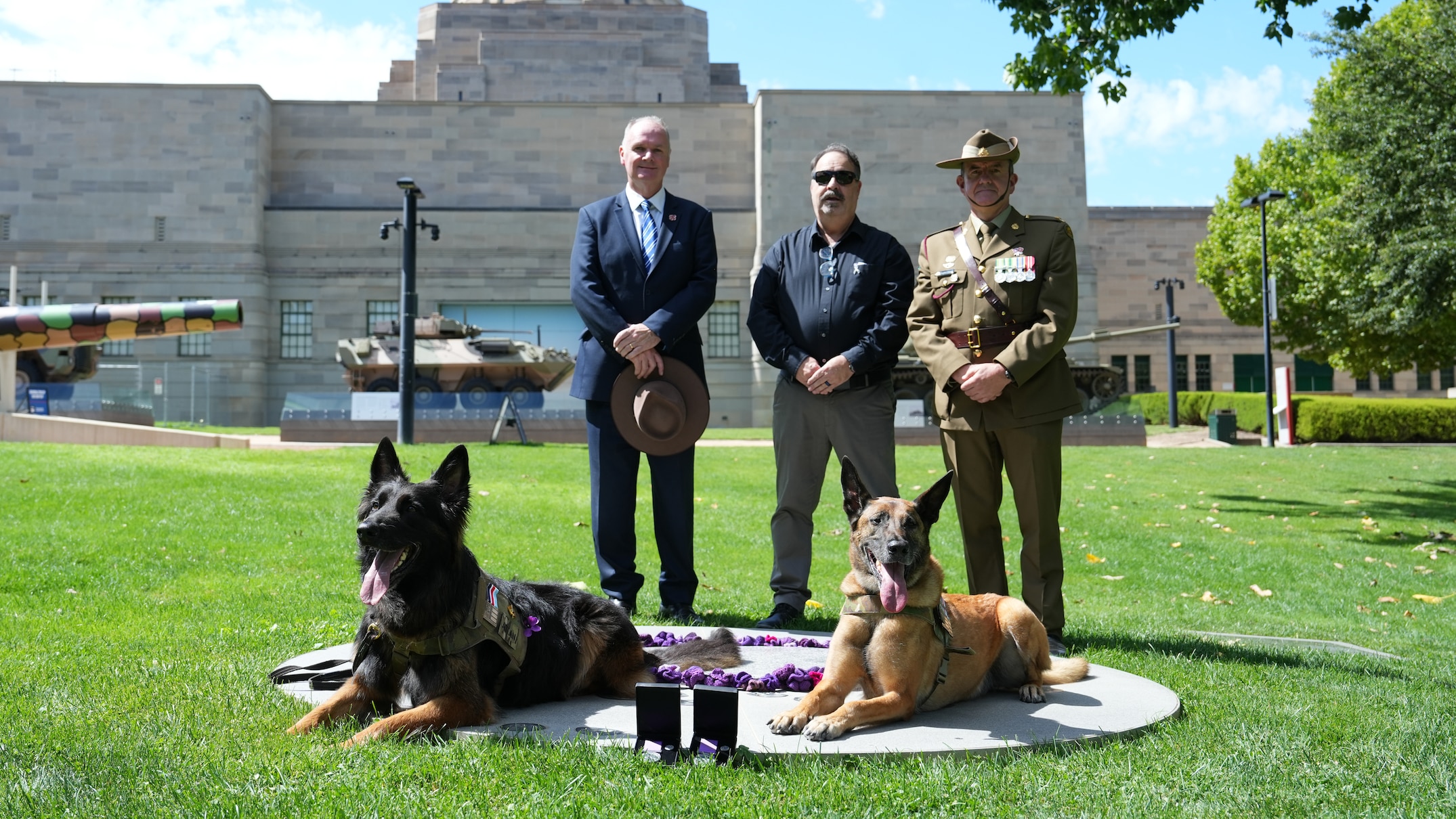 Retired military service dogs Manic and Aslan receive Australian Animal ...