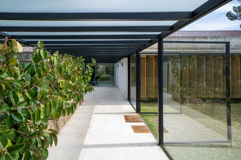 Engineers create new glue that mimics mussels and mucus to prevent ...