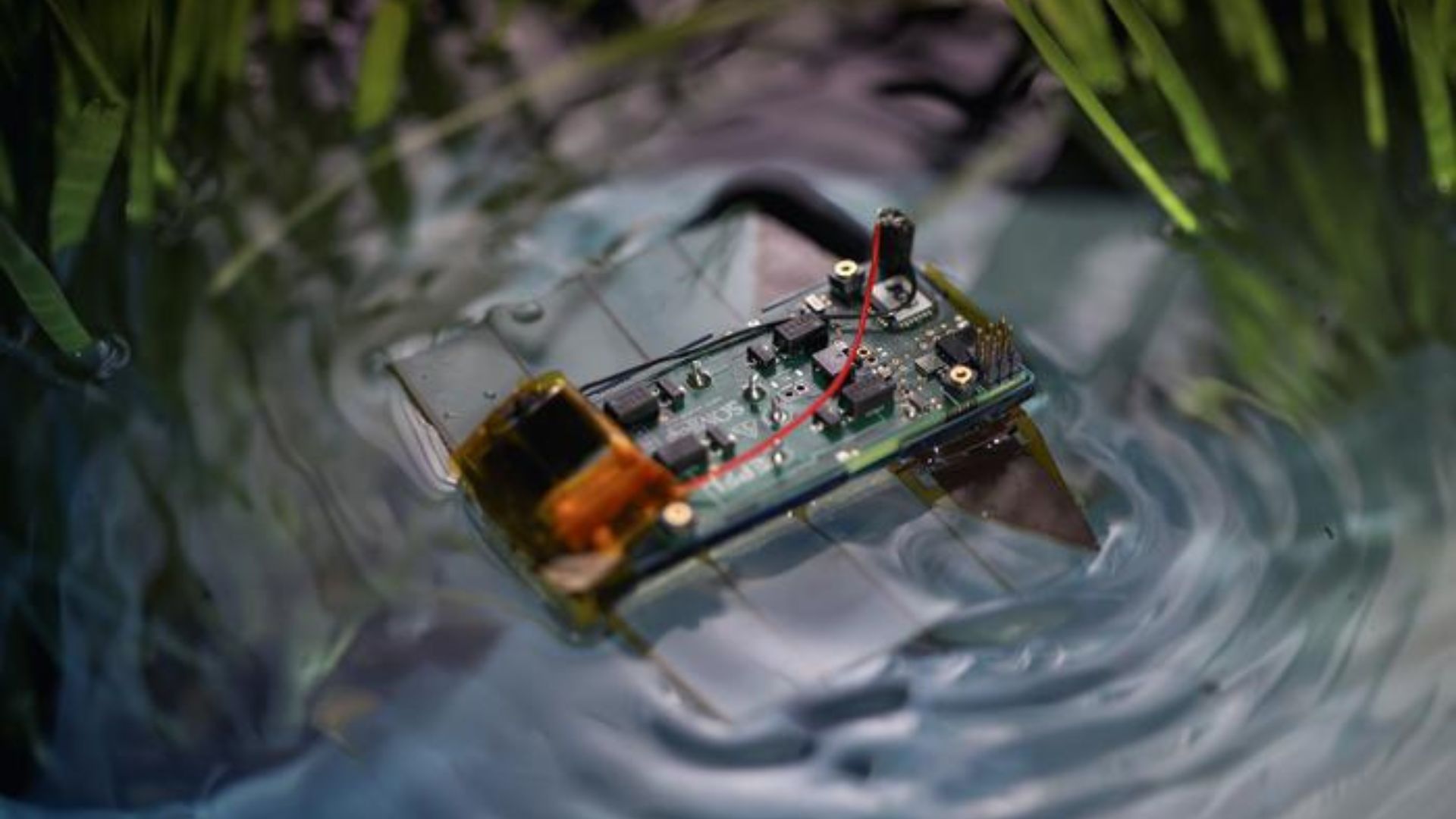 Credit-card sized robot mimics flatworm to track pollution, marine life ...