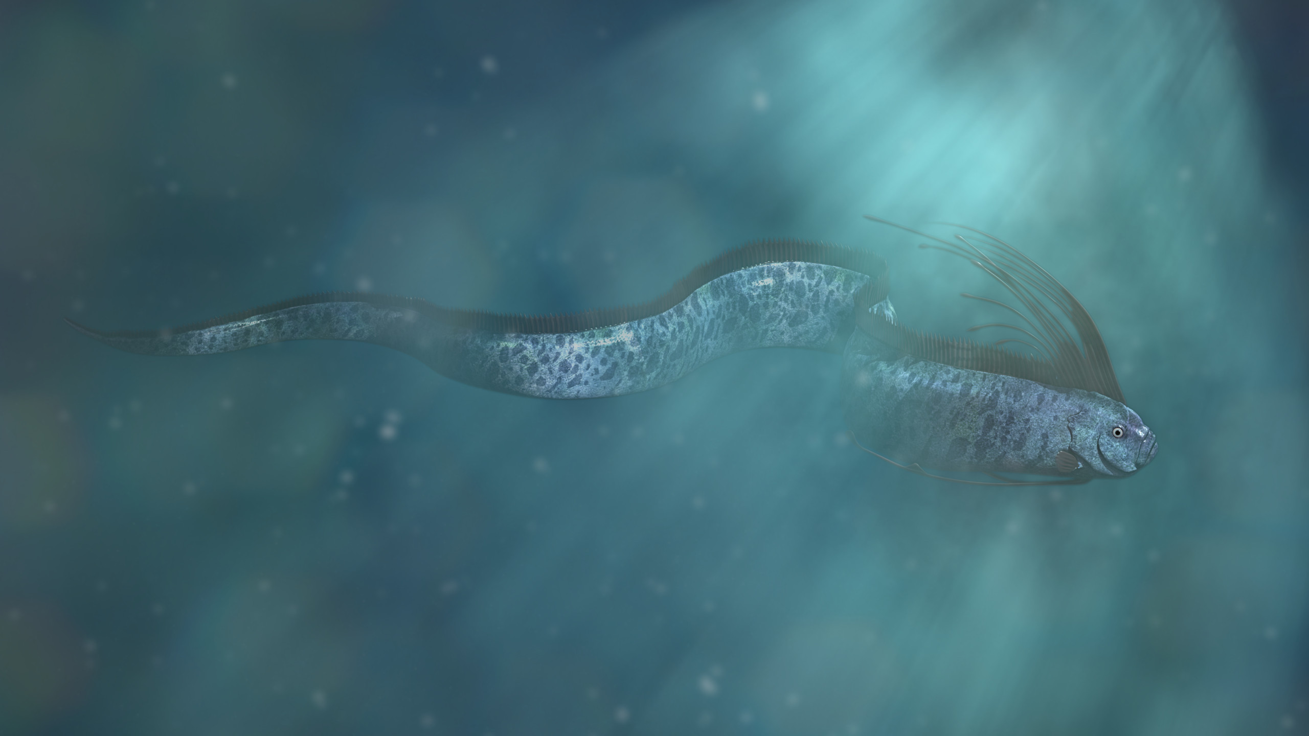 A fish that legend says can predict disaster has now sparked scientific ...