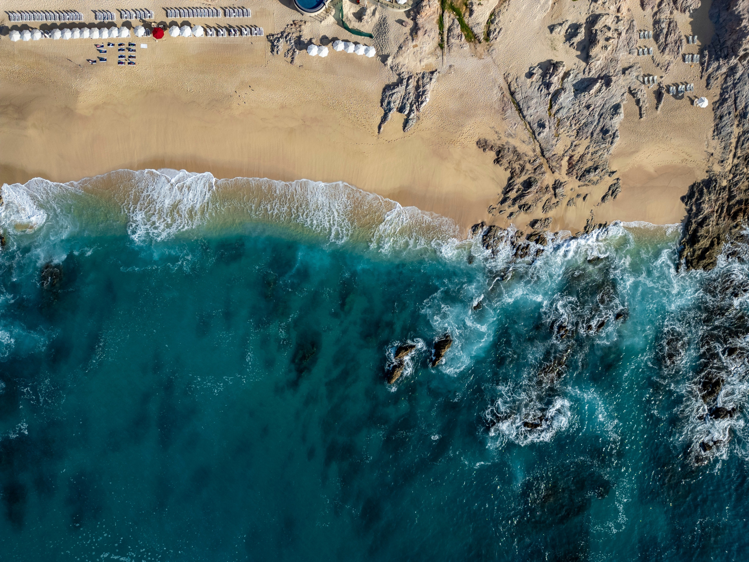 A fish that legend says can predict disaster has now sparked scientific ...