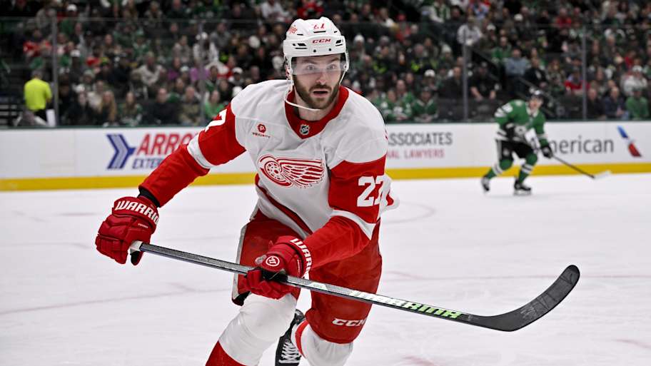Red Wings Forward Injured After Questionable Hit From Ducks Center