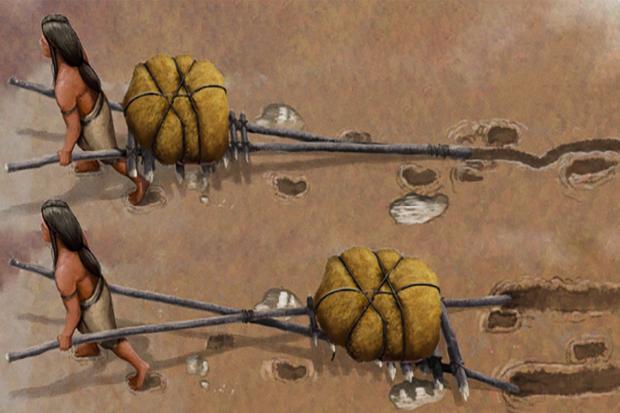 Bournemouth study uncovers earliest evidence of pre-historic transport