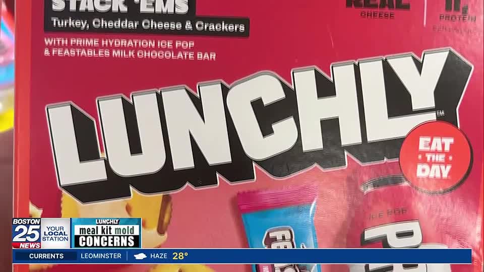 YouTube stars MrBeast, Logan Paul, KSI respond to Lunchly mold claims