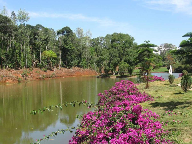 Explore 7 Underrated Hill Stations Close To Chennai City