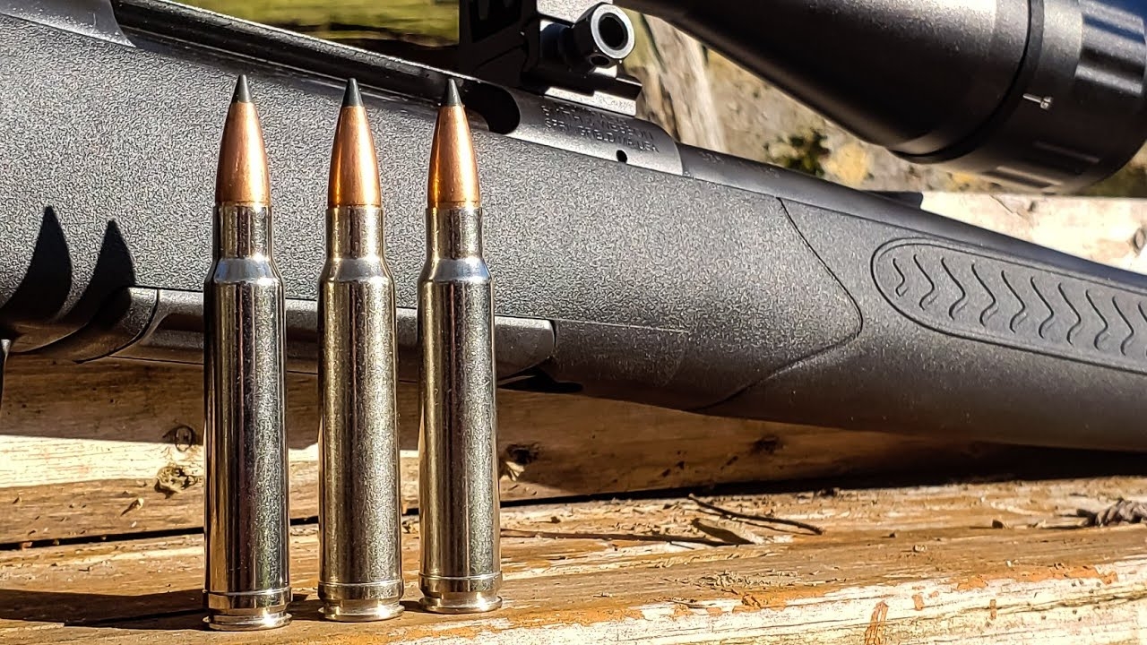 Top Cartridges for Big Game Hunting