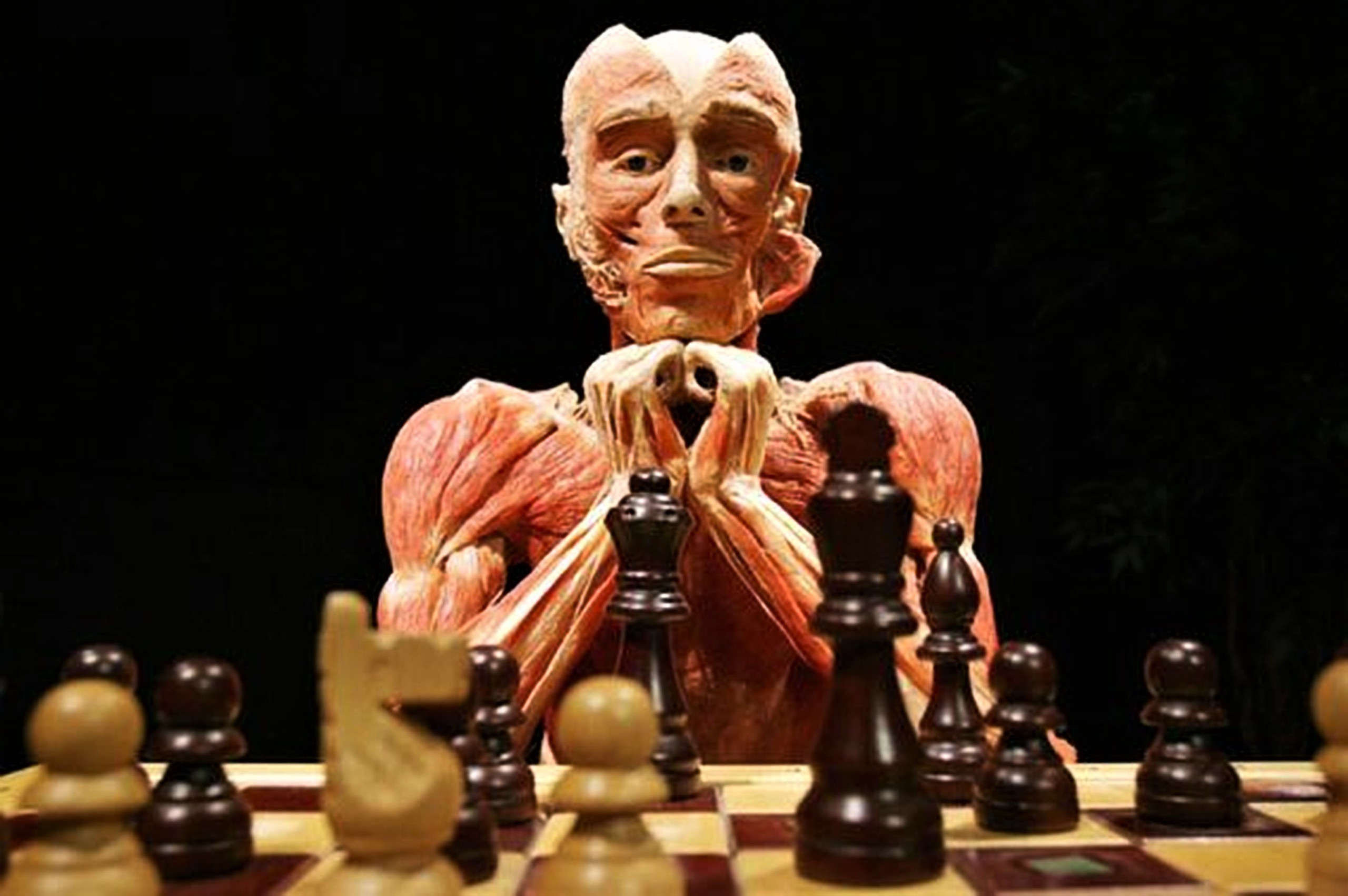 ¿Qué encontraremos en los museos más raros del mundo?