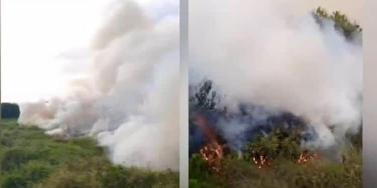 Kenya Forest Service Reveals Causes of Recent Fires in Forests and Reserves