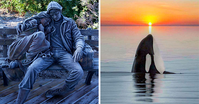 48 Oddly Satisfying Things For Your Inner Perfectionist