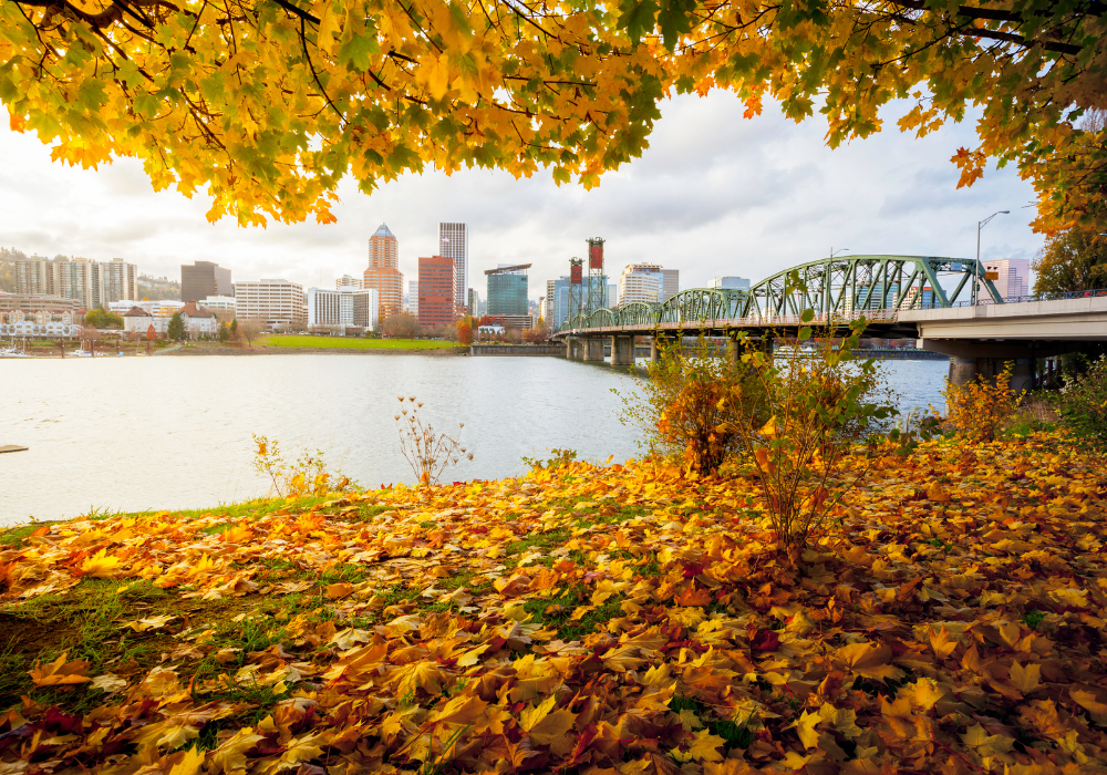 11 U.S. Cities with the Best Fall Foliage