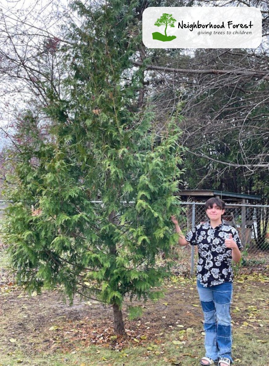 Free trees for High Desert youth available at Victorville Library in ...