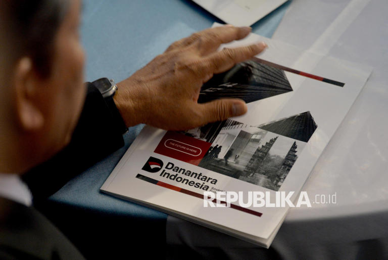 Karakter Danantara dinilai unik, negara lain ingin belajar