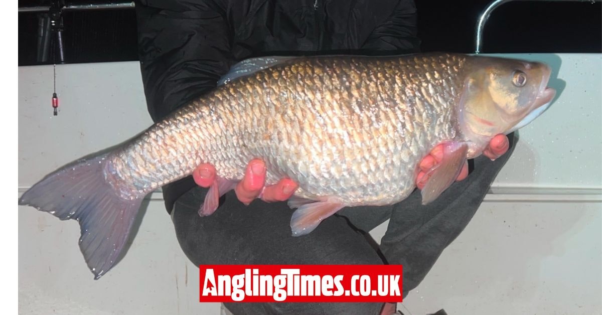 Record shaking chub banked in shock capture