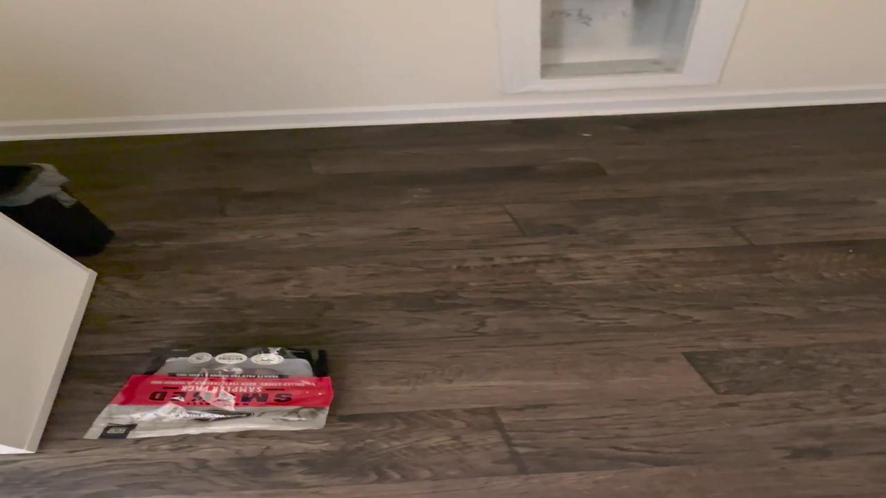 Dog Chews Bone From Fridge Top