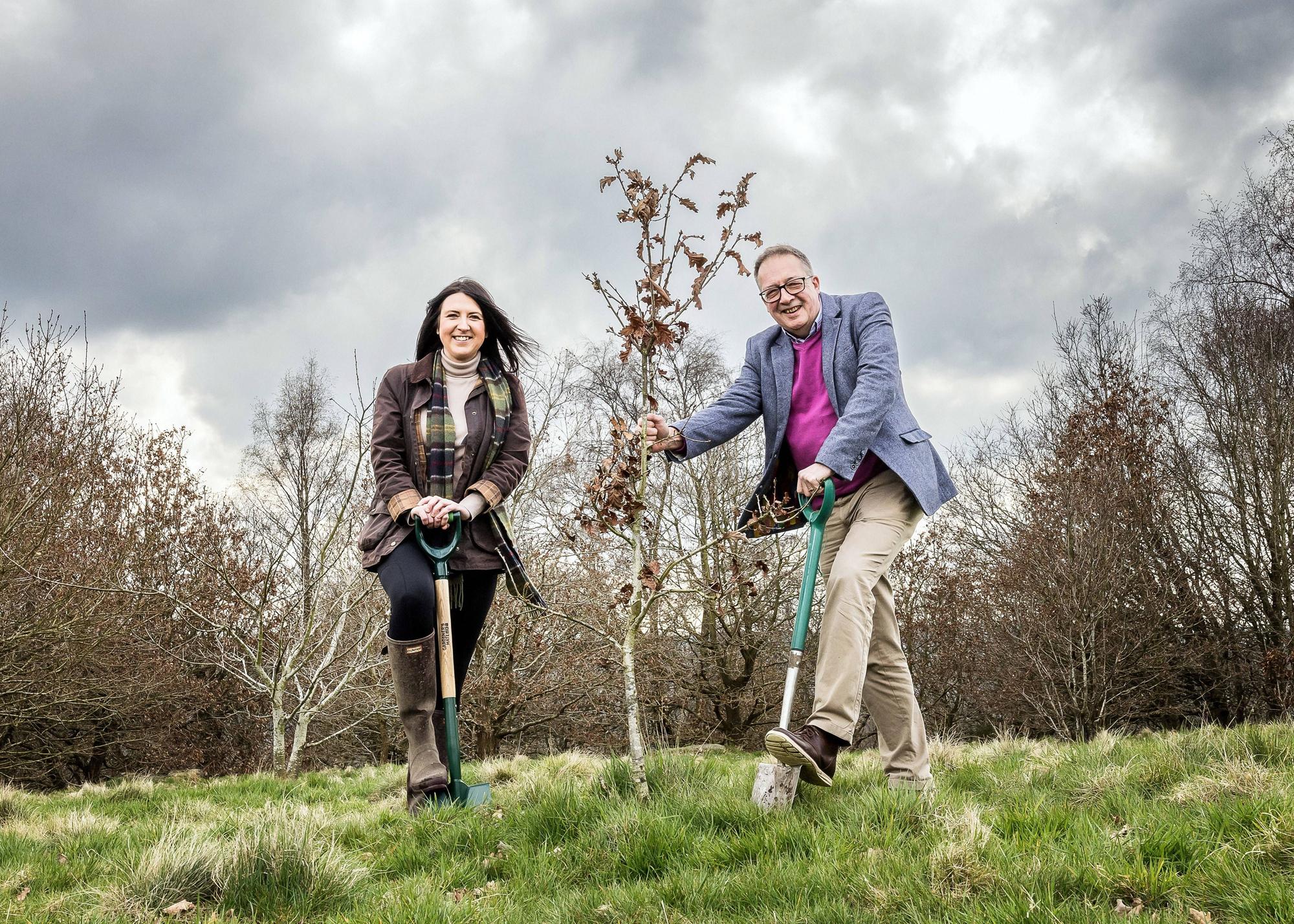 Updating a will with LCF Law helps protect loved ones and the planet