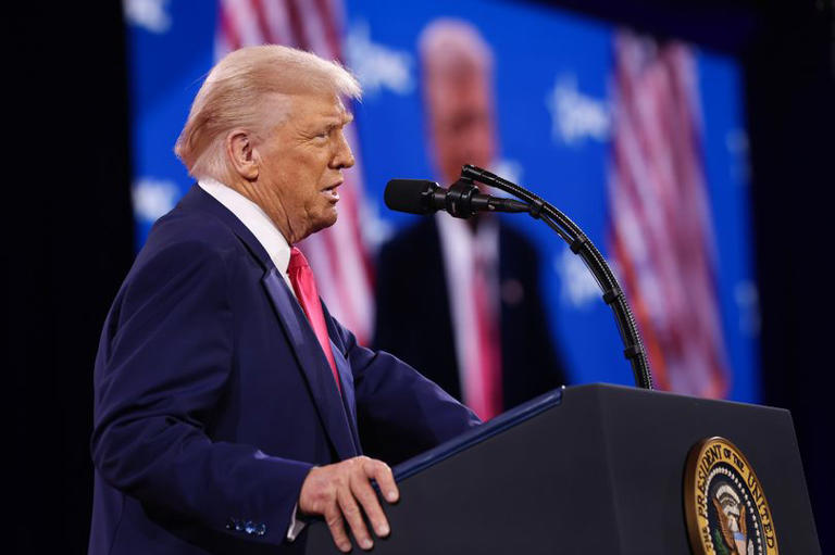 Donald Trump's reaction to Elon Musk's email to federal workers revealed Donald Trump's reaction to Elon Musk's email to federal workers revealed