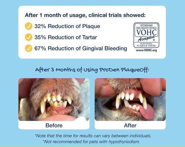 Brushing your pet’s teeth is essential, but hellish. This vet-approved ...
