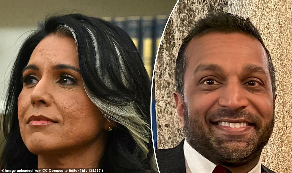 Tulsi Gabbard becomes latest Trump official to defy Elon Musk