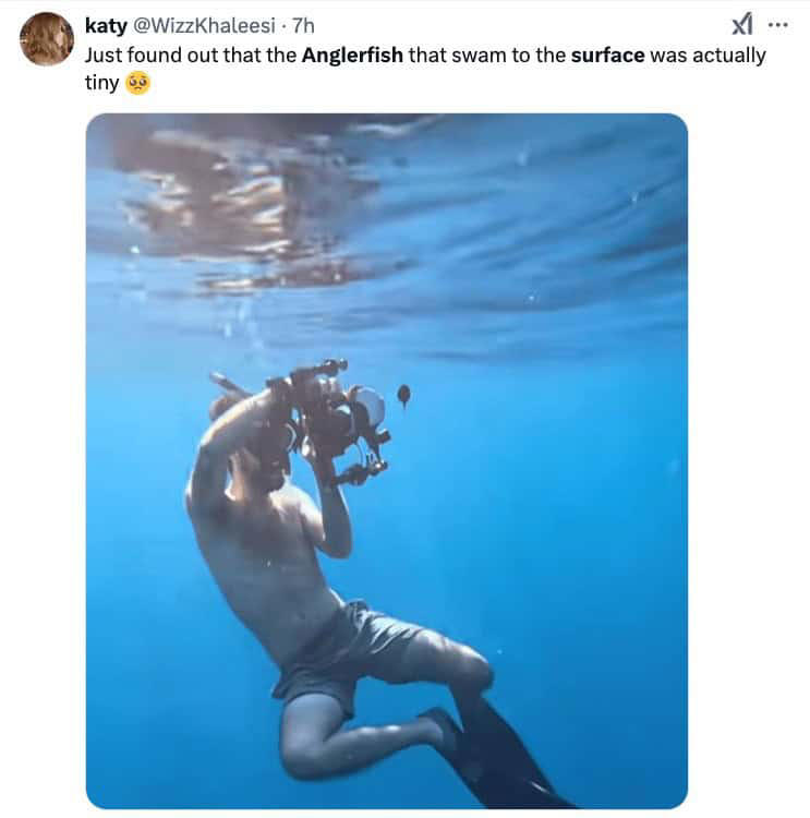 21 Teary-Eyed Memes About The Anglerfish Who Mysteriously Swam To ...