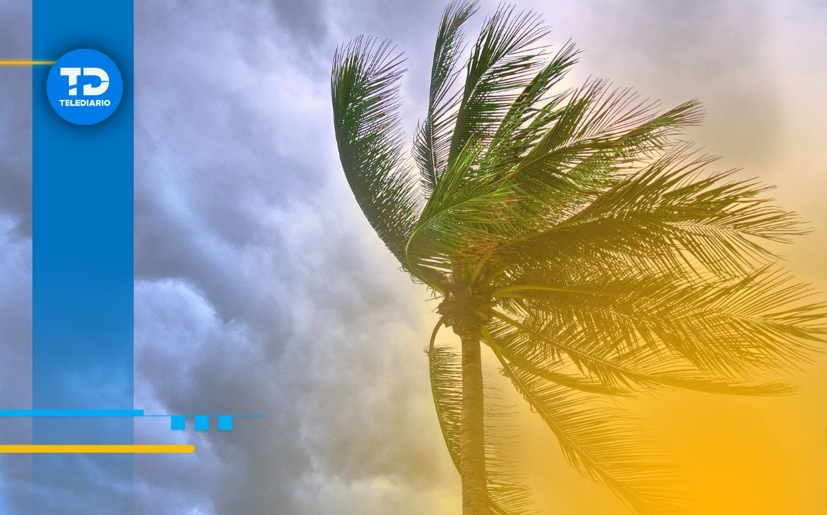 Pronóstico del tiempo Costa Rica: Cómo estará el clima HOY 24 de febrero