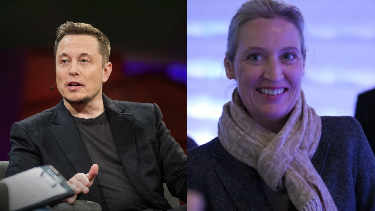 'At This Rate Of Growth': What Elon Musk Said To German Right-Wing AfD ...
