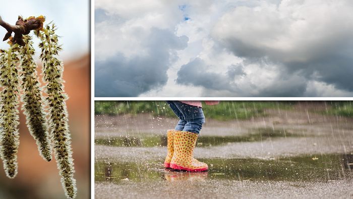 Wetter morgen: Viele Wolken, Regen und starker Pollenflug