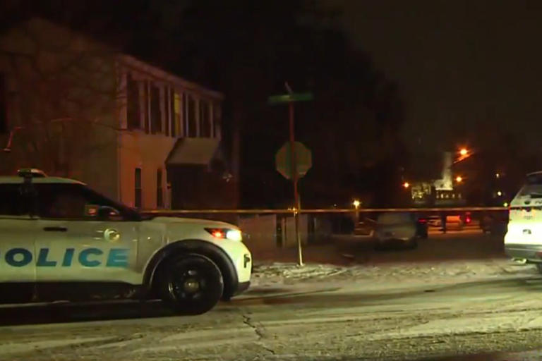 Boy, 15, charged with gunning down stepfather for punching his mom in ...