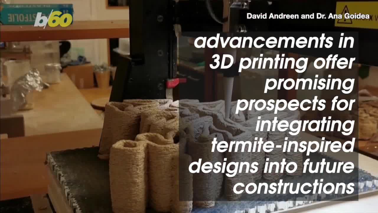 Termite-Inspired Architecture for Sustainable Buildings