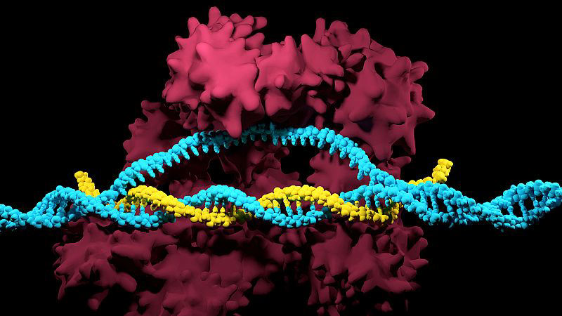 European governments heading towards GMO deregulation European governments heading towards GMO deregulation