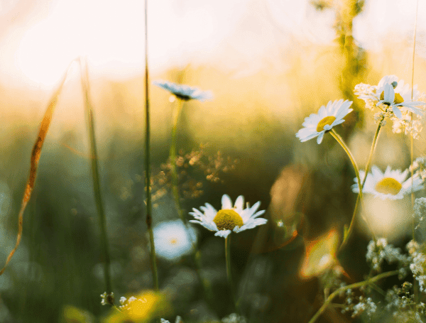 U.S. Set For An Early Spring Warm-Up